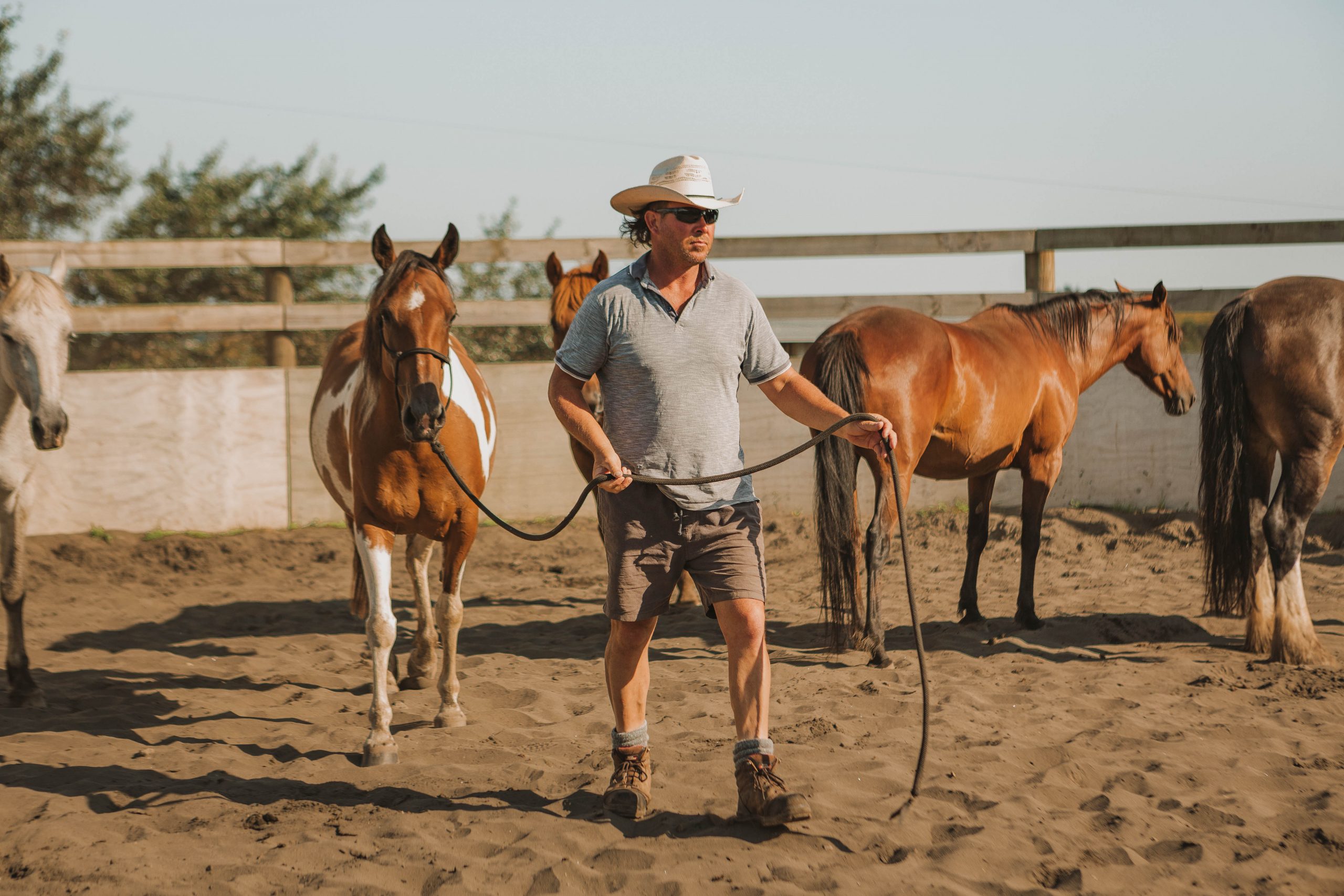 Home - Falling Creek Ranch